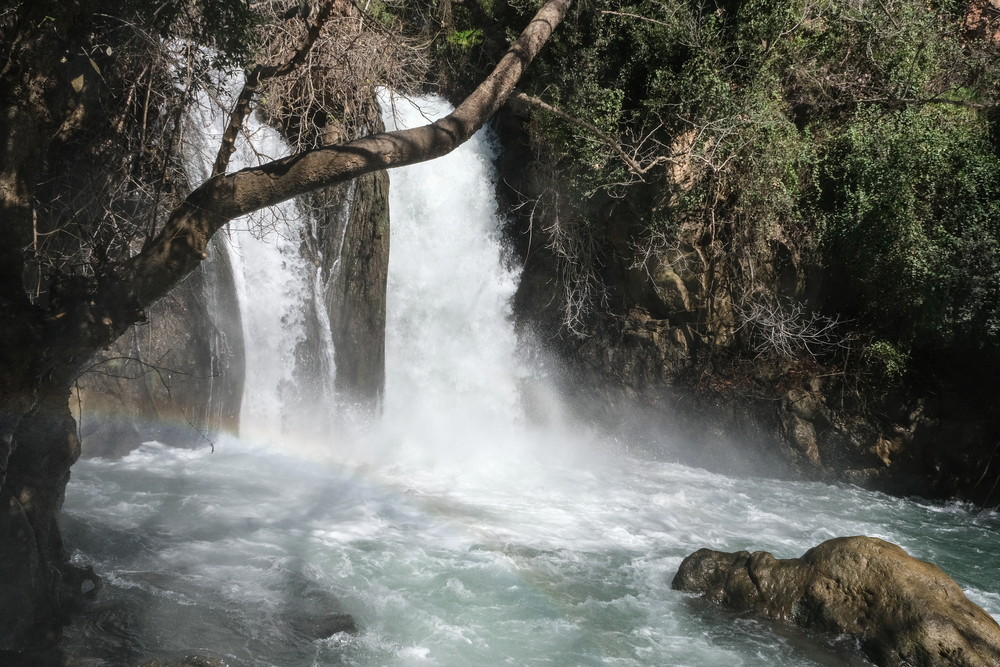 Banias Waterfall: What You Need to Know Before Visiting Israel's ...