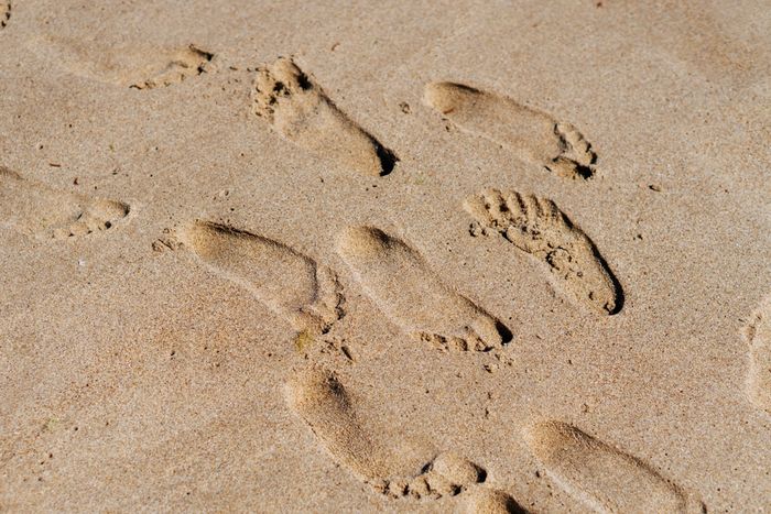 Understanding Foot Arch Types: Your Ultimate Guide – Walking – Footora