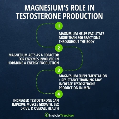 Why Women Should Care About Testosterone - Unlocking Insights - Explore ...